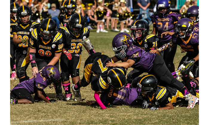 Home [www.smyahawks.org]