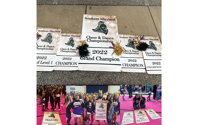 Home [www.smyahawks.org]