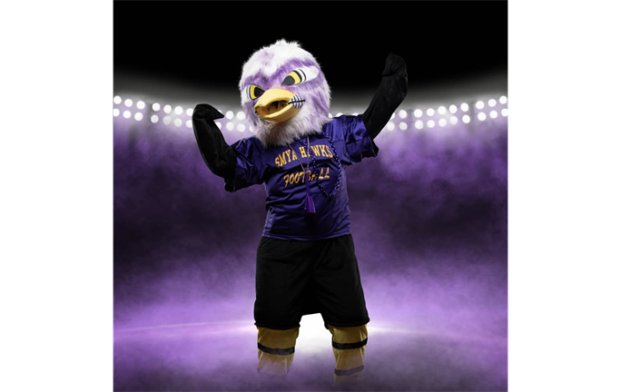 Home [www.smyahawks.org]